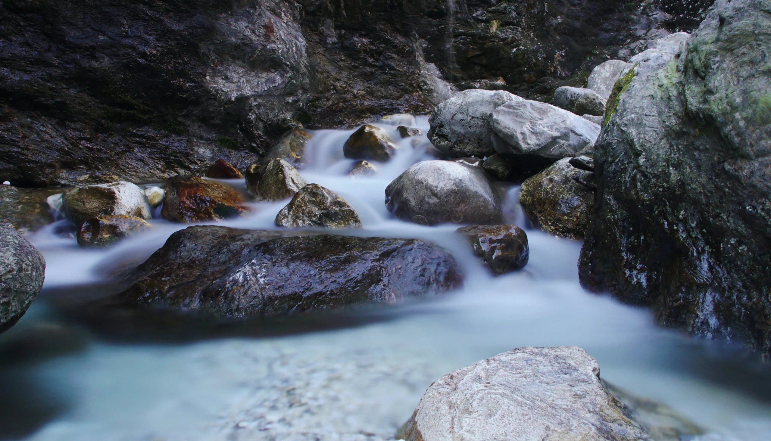 Neuer „National Hub für Biodiversität und Wasser“ - River and Nature Trust